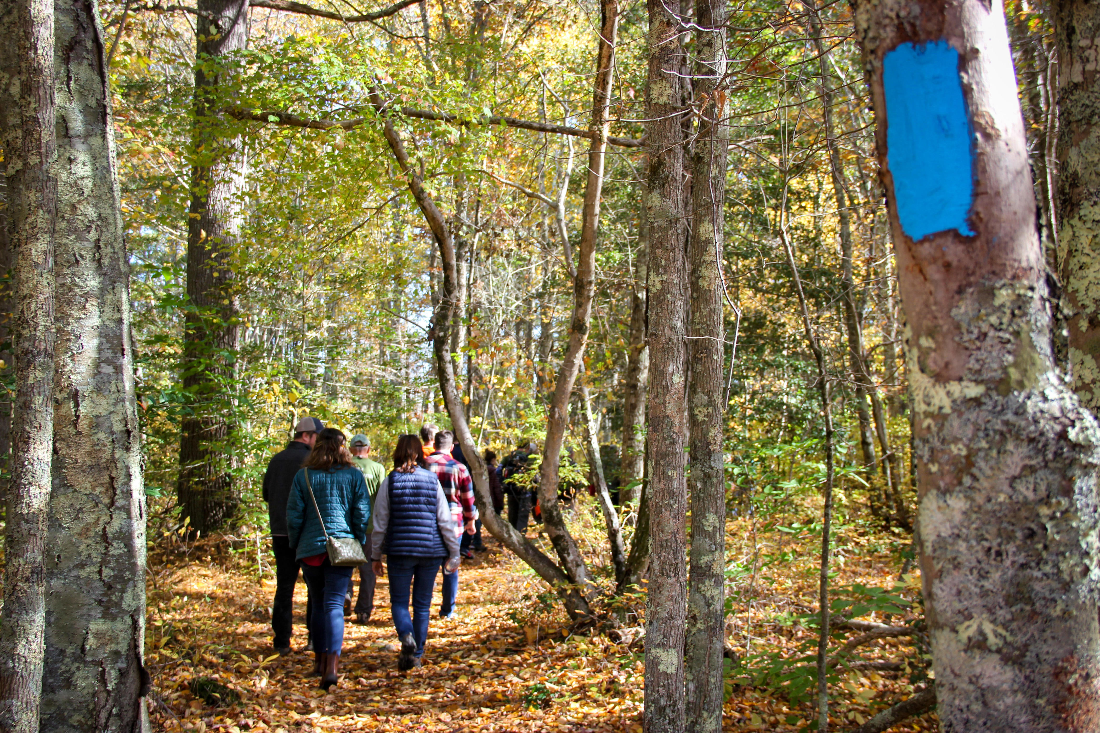 Walk off your Thanksgiving feast at these family-friendly hiking trails