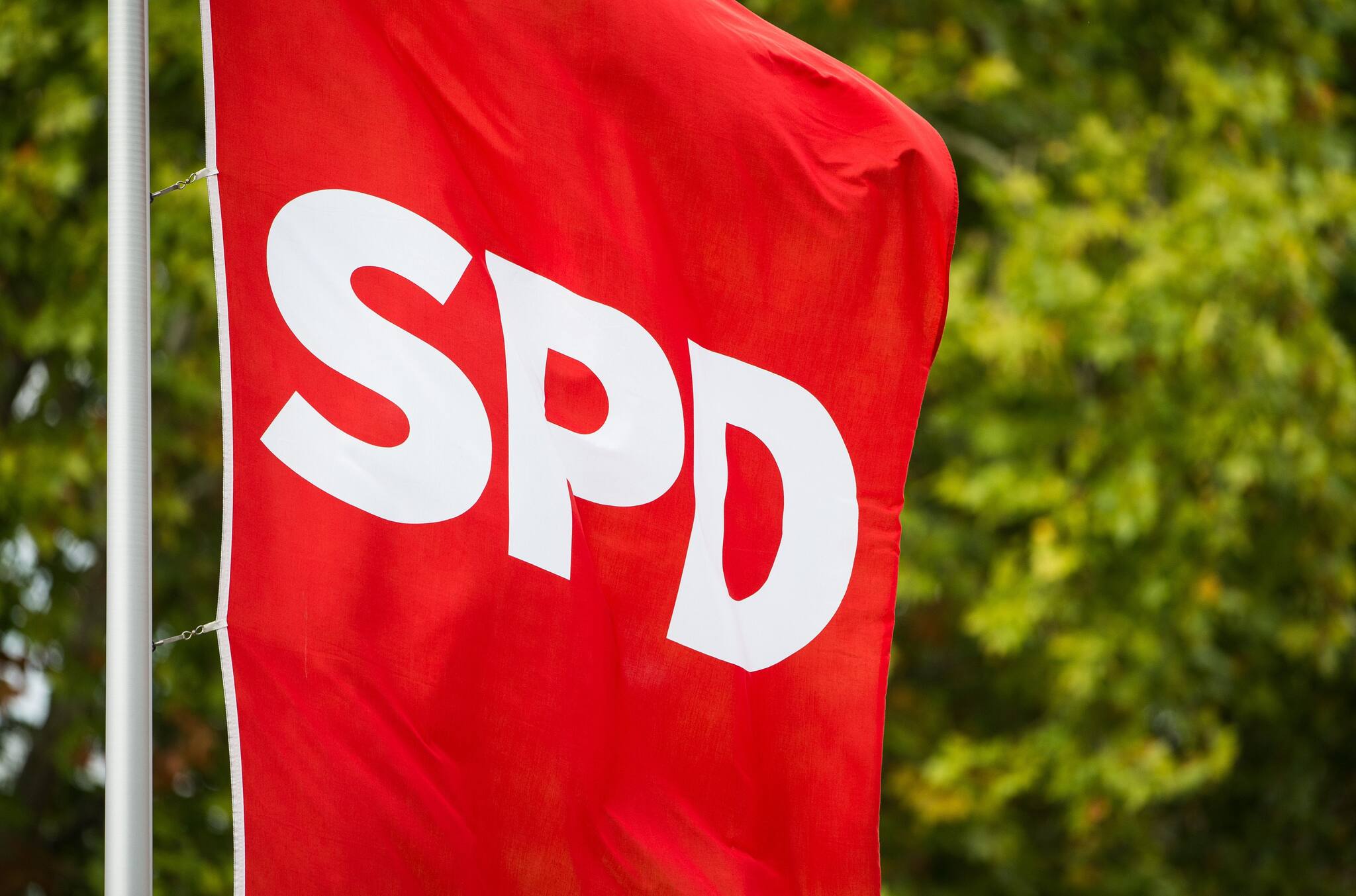 SPD-Basis kann offiziell Stimmen gegen Bürgergeld-Verschärfung sammeln
