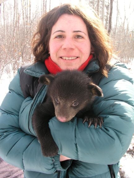If the grizzly that attacked a B.C. school group is found, what happens ...