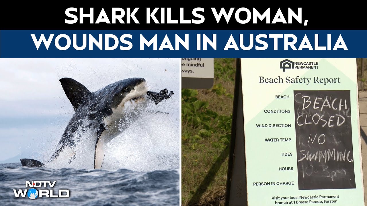Shark Attack Video | Shark Kills A Woman & Wounds Another Swimmer In ...