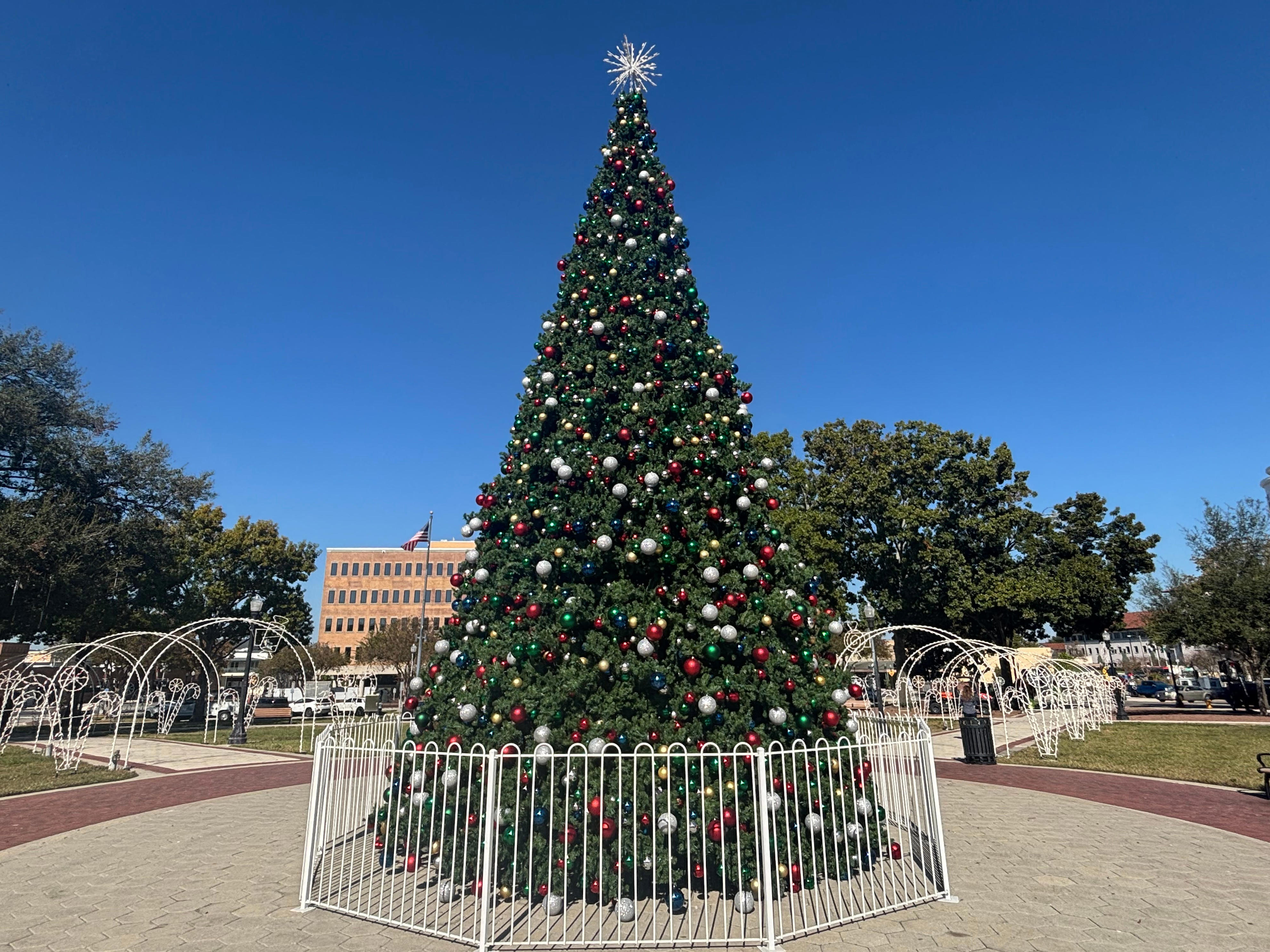 Watch the lighting of Lakeland's Munn Park tree on Thanksgiving night