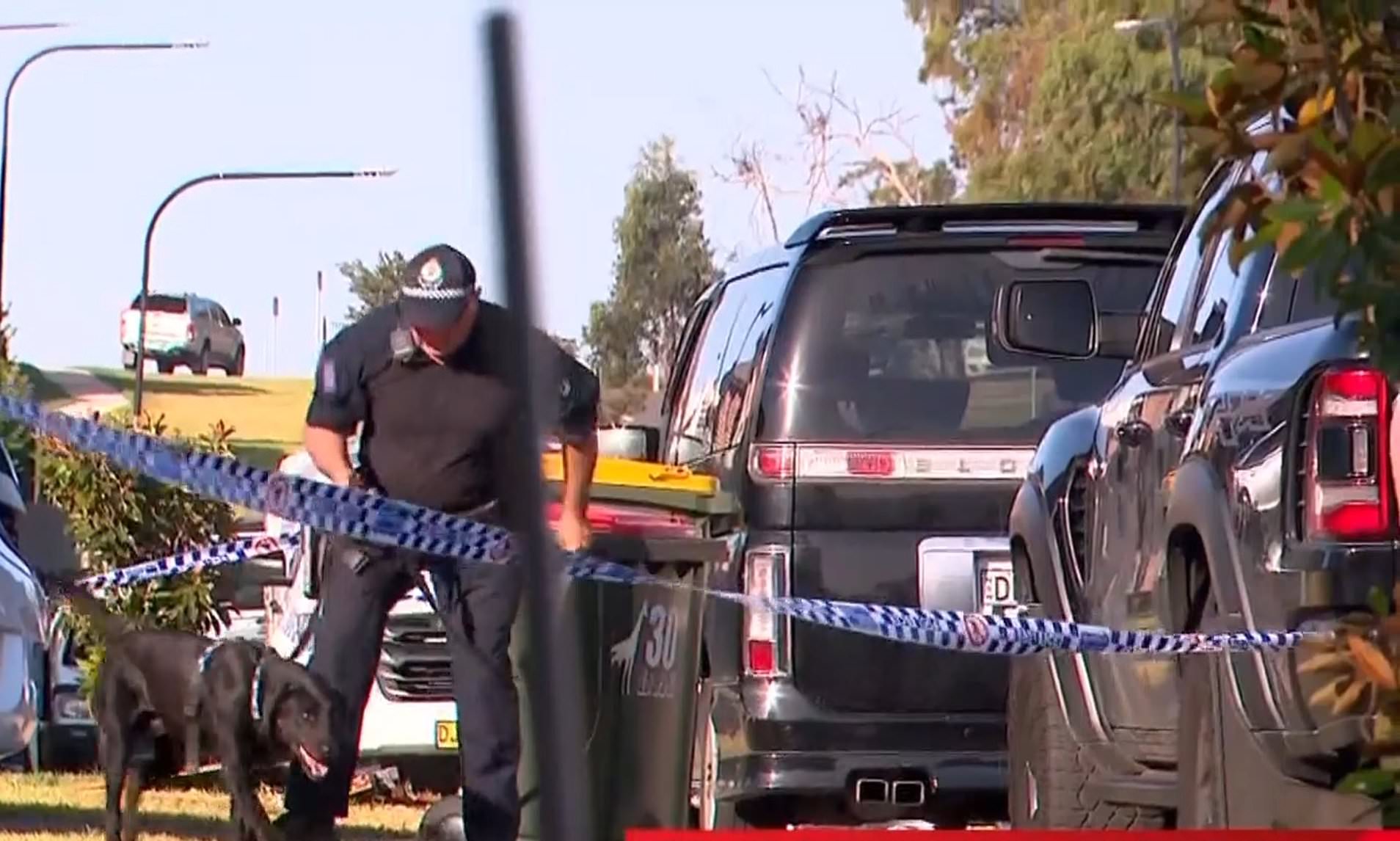 Grenade, firearm and hammer found after shots fired at Sydney home