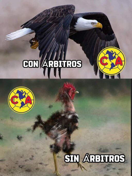 Los mejores MEMES de la derrota de América ante Monterrey en la Liguilla