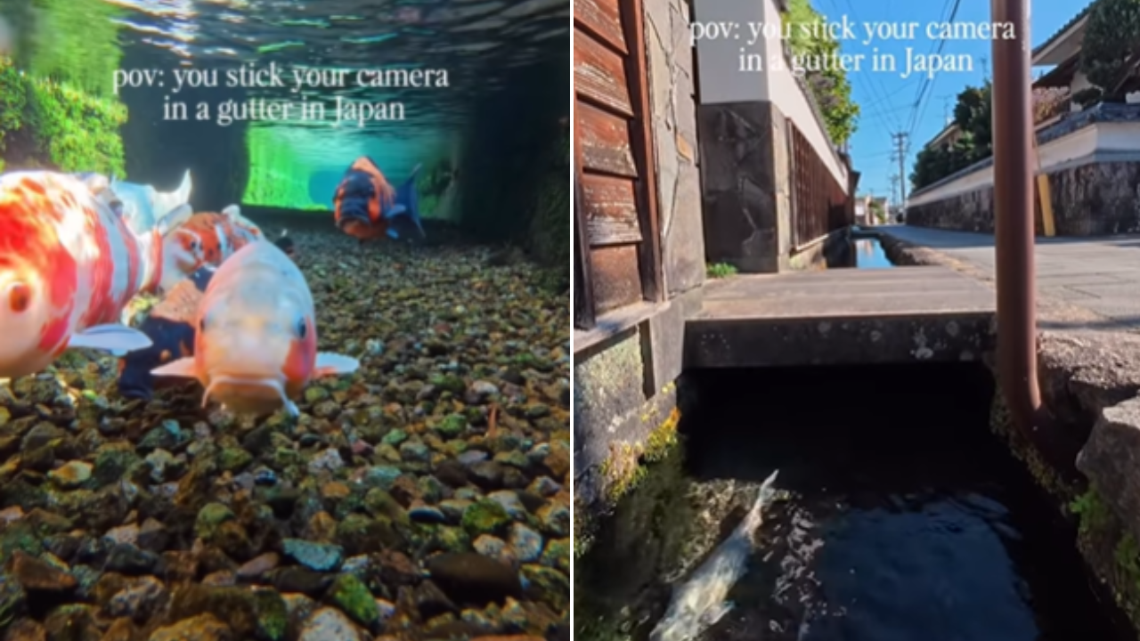 Watch: Camera dipped into Japanese drain stuns viewers — netizens joke ...