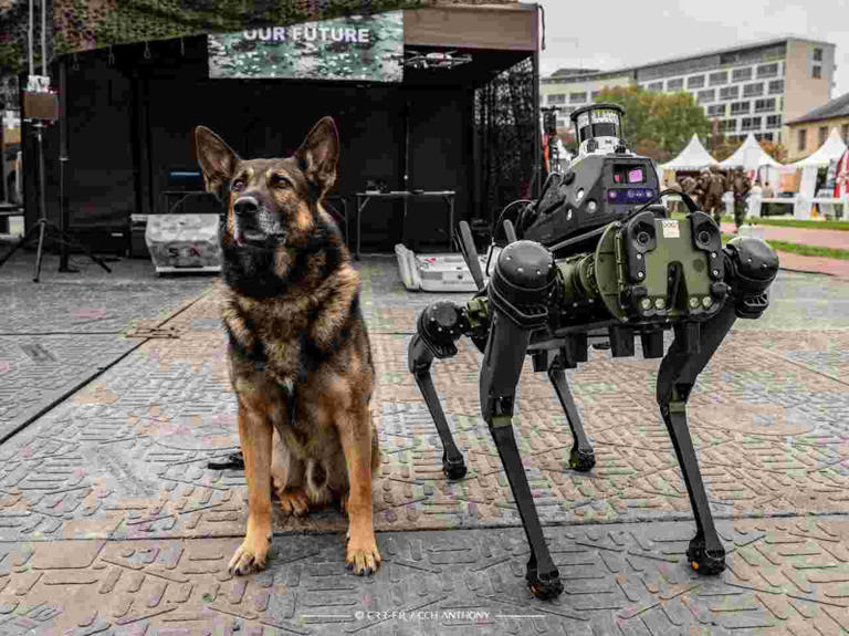 L’esercito francese avvia i test con i cani robot