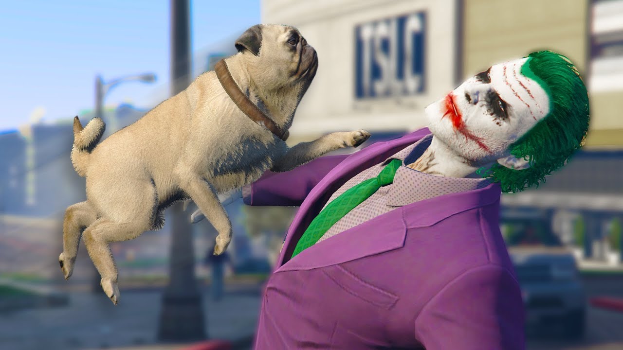 Playing as animals online | GTA 5 thug life #272