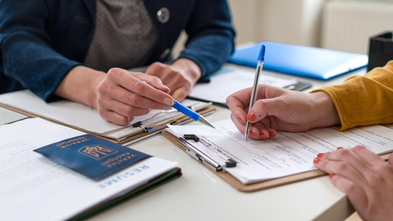 Immigration officers face ‘great challenges’ in assessing applications