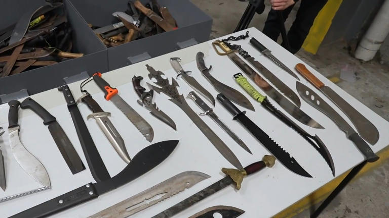 Fate of Victoria's infamous machete bins revealed
