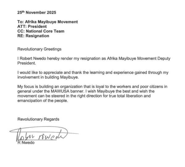 Mayibuye iAfrika in turmoil as deputy president Nwedo starts new party