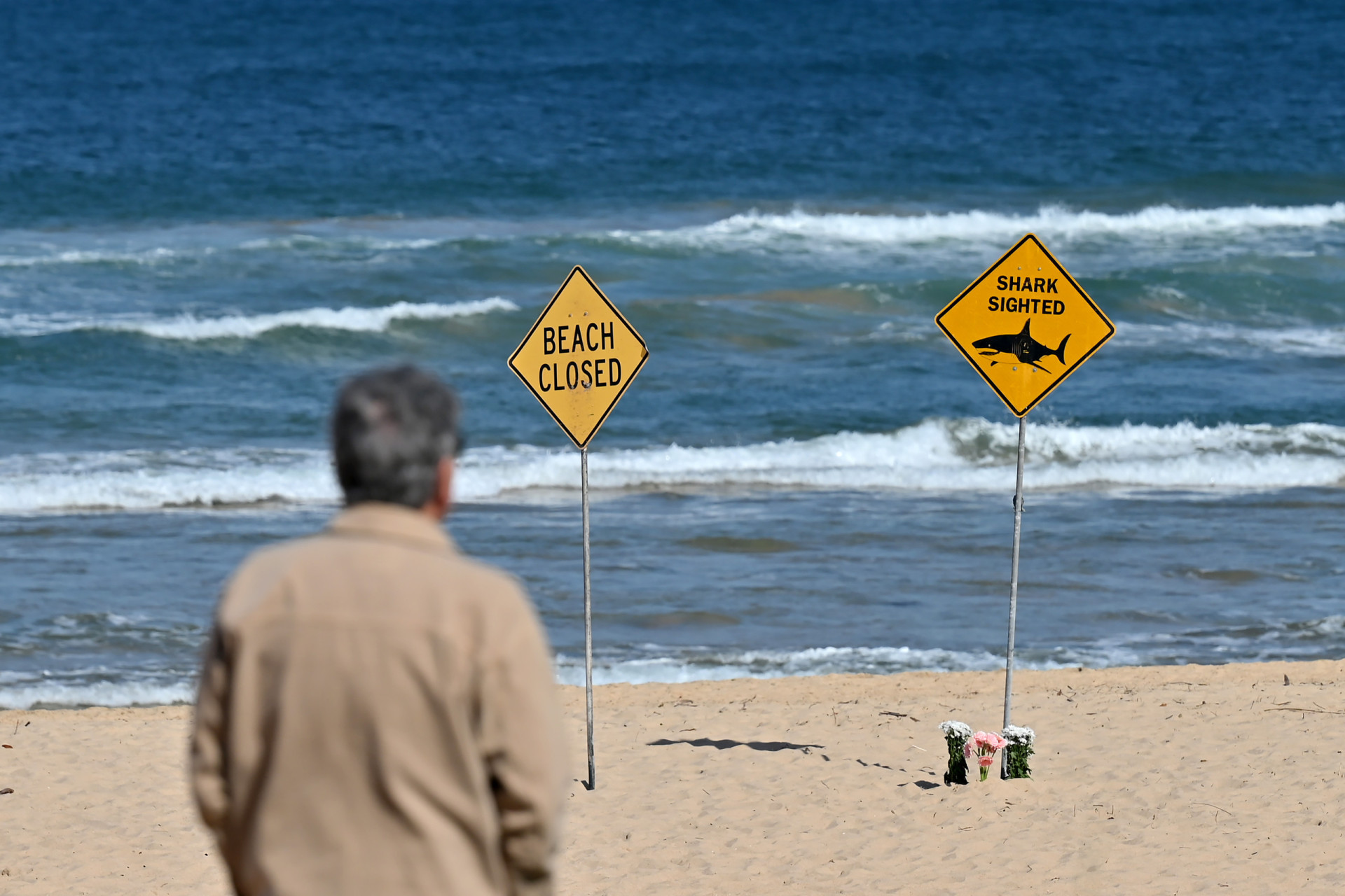 Woman killed, man injured in rare double shark attack in Australia