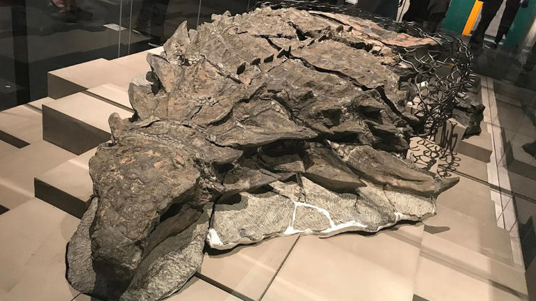 7 mind-blowing dinosaur finds that forced scientists to rethink evolution