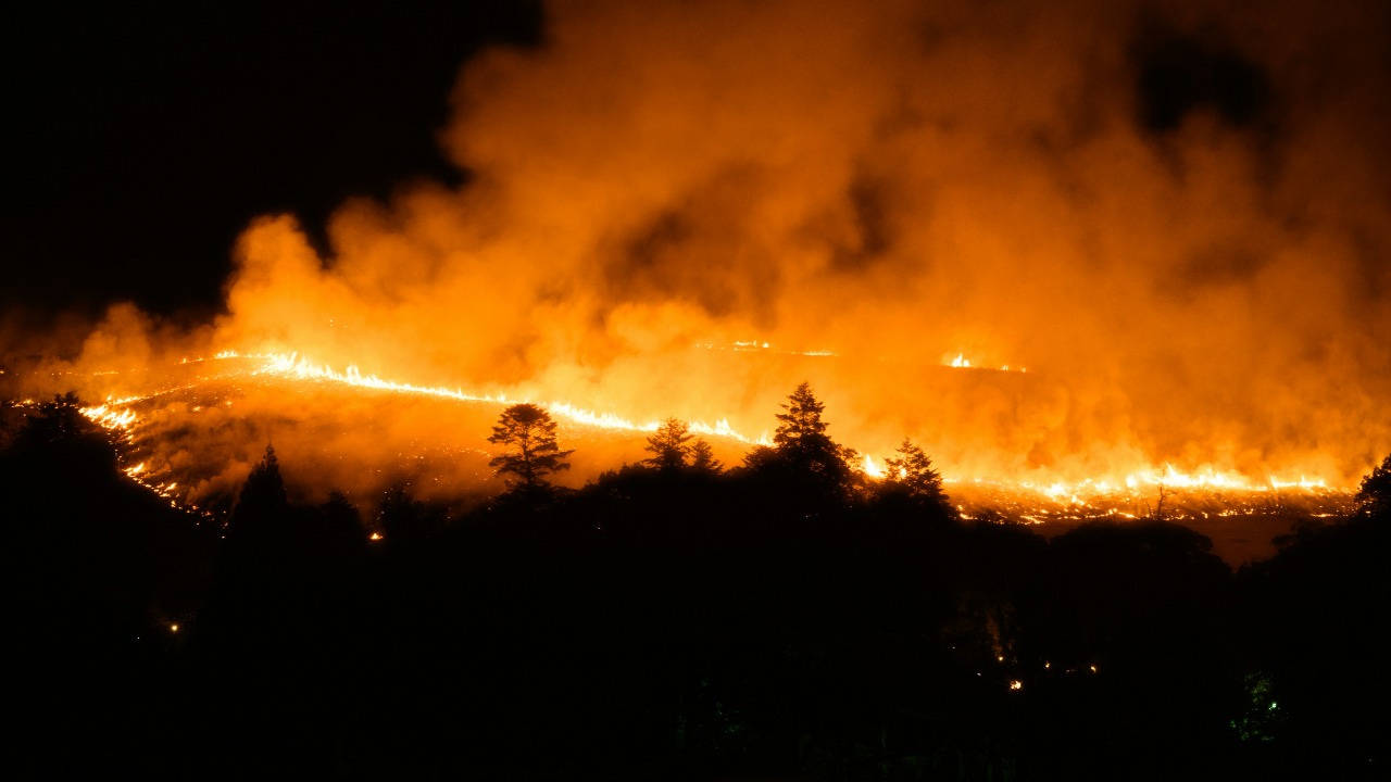 4 states face worst U.S. disaster as everything west of I-5 burns
