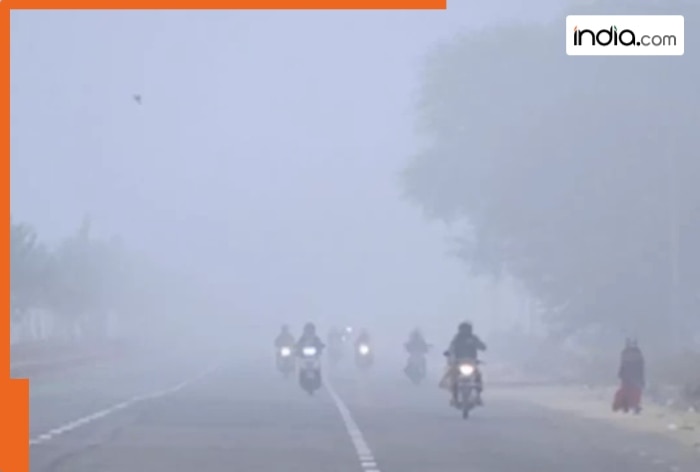 Cold wave intensifies in Rajasthan as temperature drops to 2.9 degrees ...