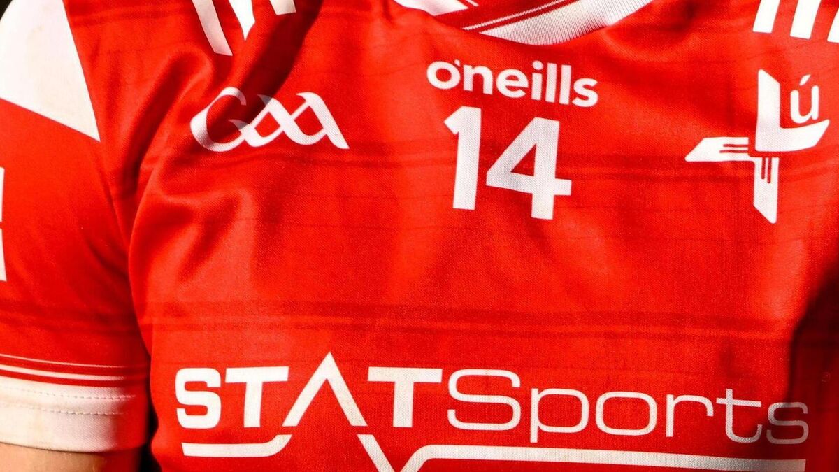 Louth the latest county board to make self-assessed tax disclosure to ...