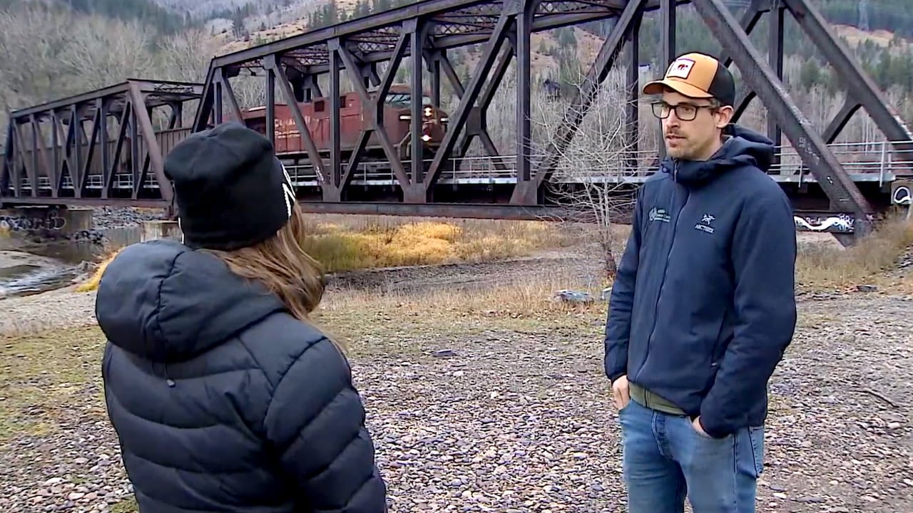 Railway collisions are killing B.C. wildlife. These people are trying ...