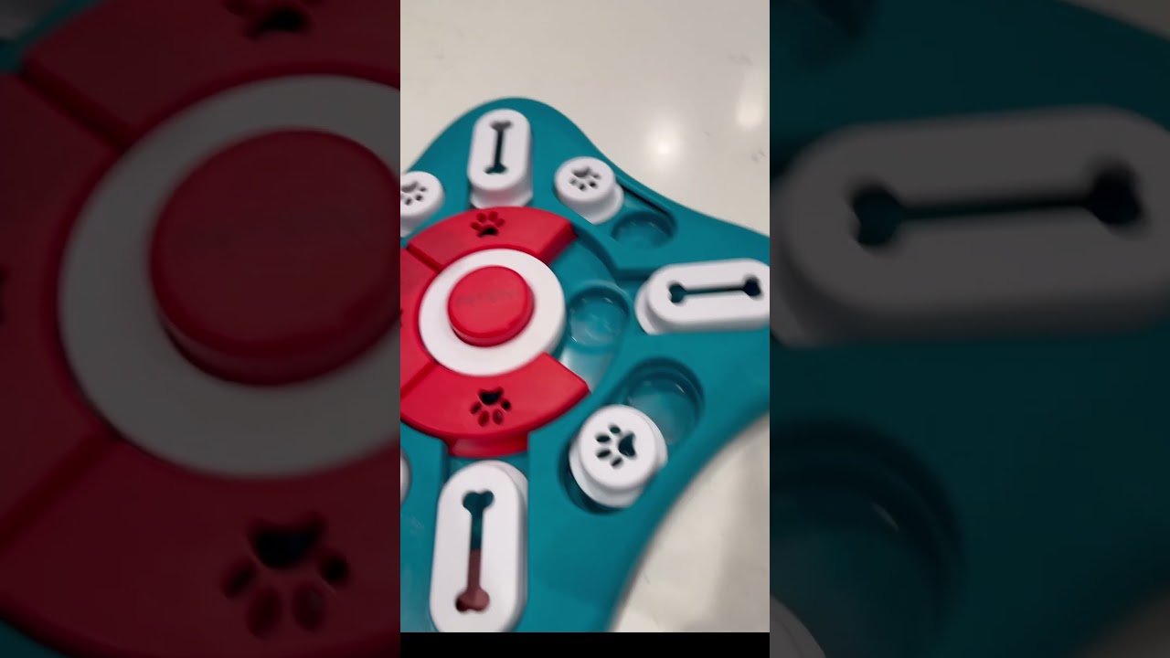 Why our dog can’t have ordinary toys