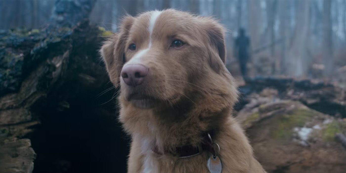 'Good Boy's ending is modeled after the most famous Stephen King adaptation