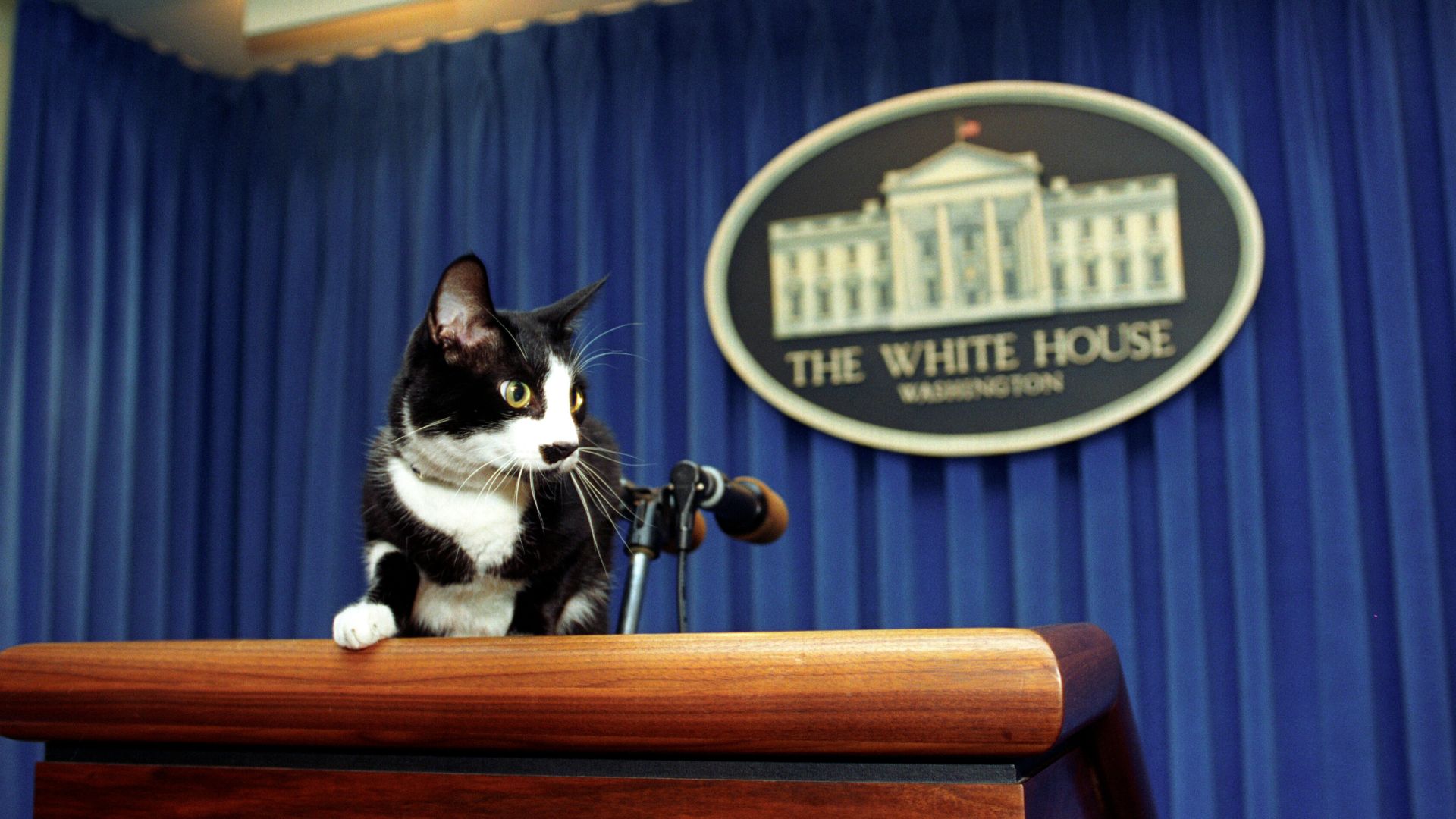 The Most Famous Pets Of World Leaders