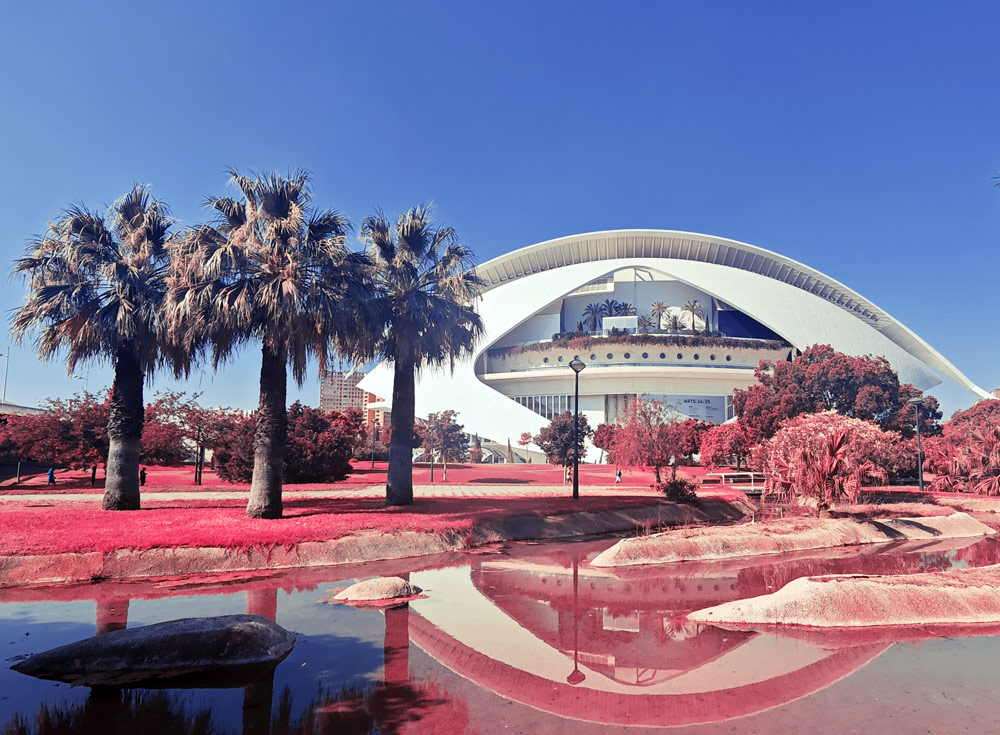 I simply adore this iPhone photo-editing app and it’s now half price ...