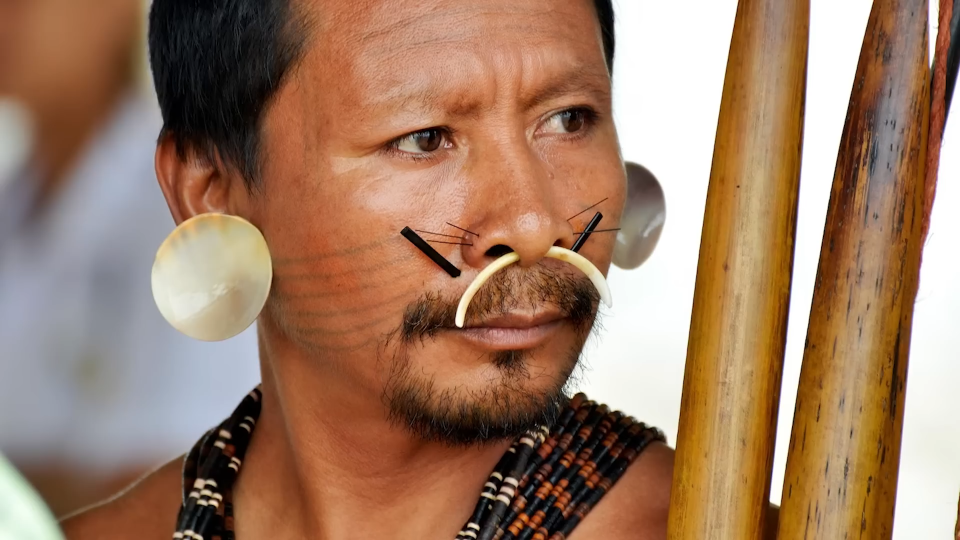 The Maasai lion hunt – proving manhood with a spear