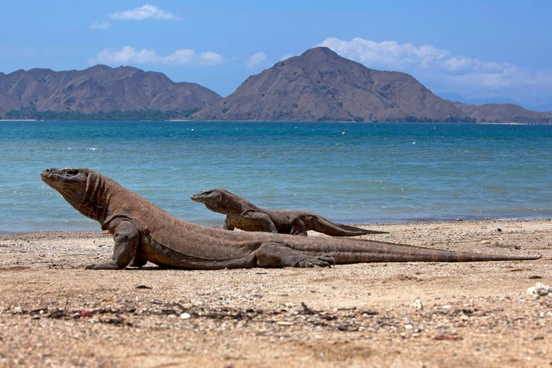 These 14 Cutthroat Animals Will Do Just About Anything To Survive