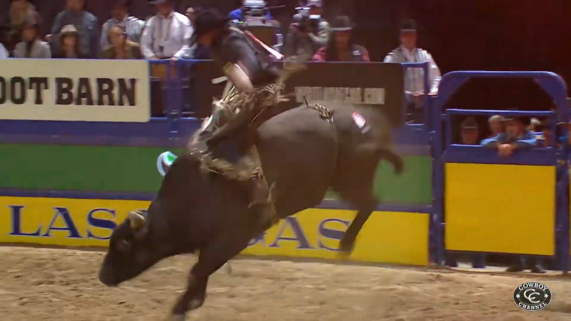He got hurt, got back on that bull, and still stole the show