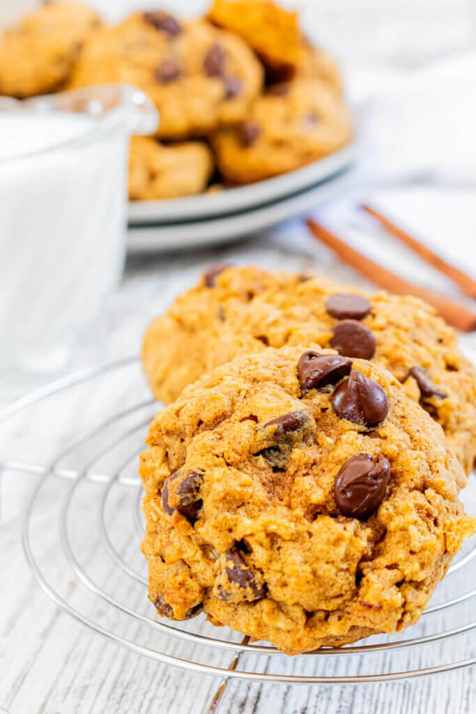Pumpkin Oatmeal Cookies with Chocolate Chips