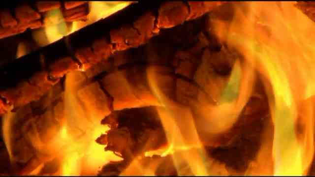 Caveman chicken cooked straight in the fire