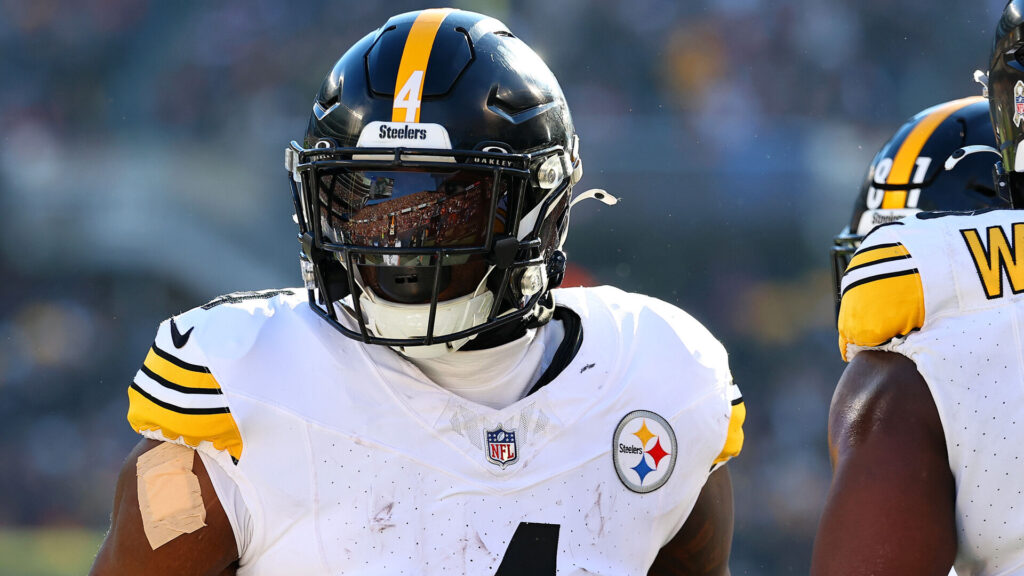 Steelers’ DK Metcalf caught on camera swiping at Lions fan