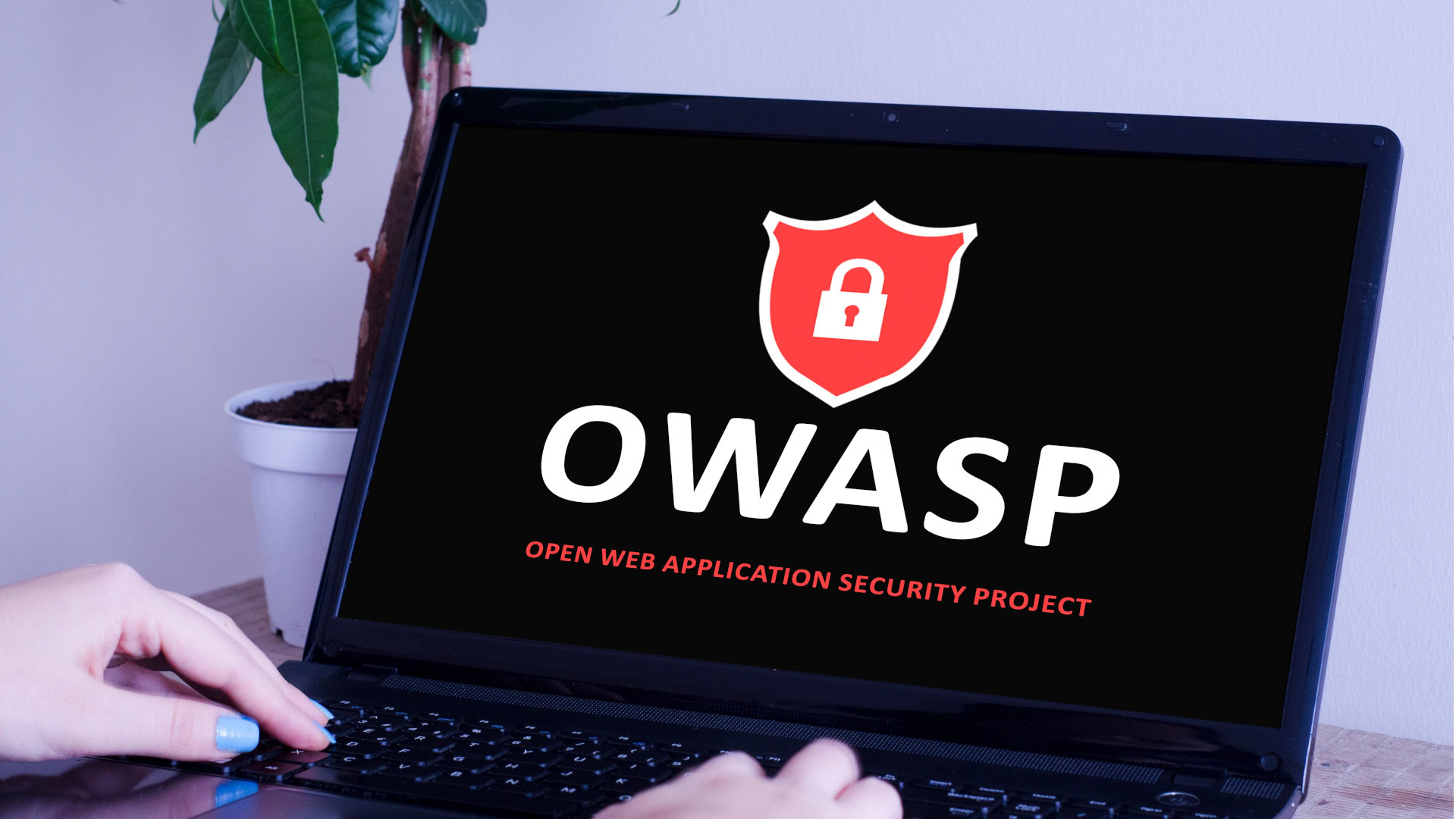 OWASP – was ist das Open Web Application Security Project?