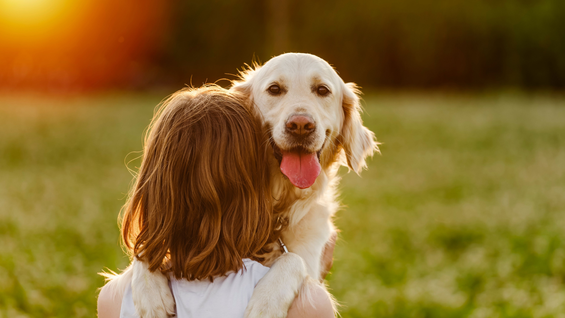 9 Dog Breeds That Stay Calm Around Kids And 6 That Need More Space