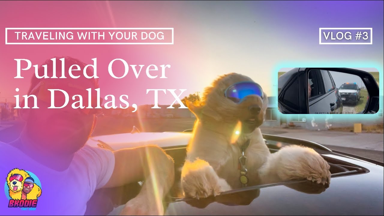 Brodie’s wild Texas road trip: Buc-ee’s, dog fans & hilarious hotel fails!