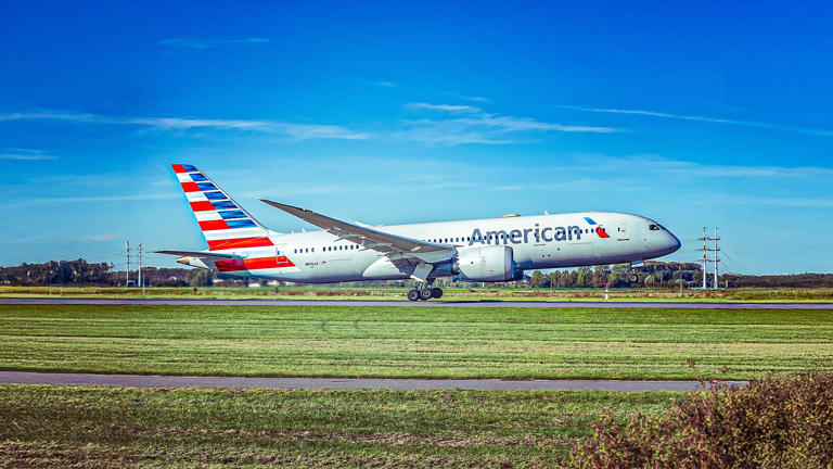 American Airlines Wing Walker Reportedly Hospitalized After Being Run ...