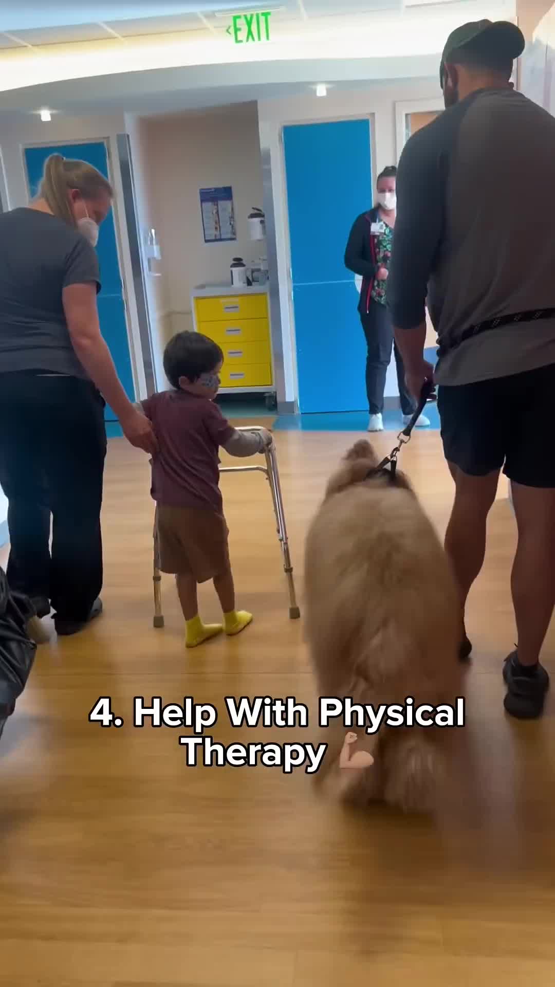 Therapy Dog’s Job At Children’s Hospital! #therapydog #goldendoodle # ...