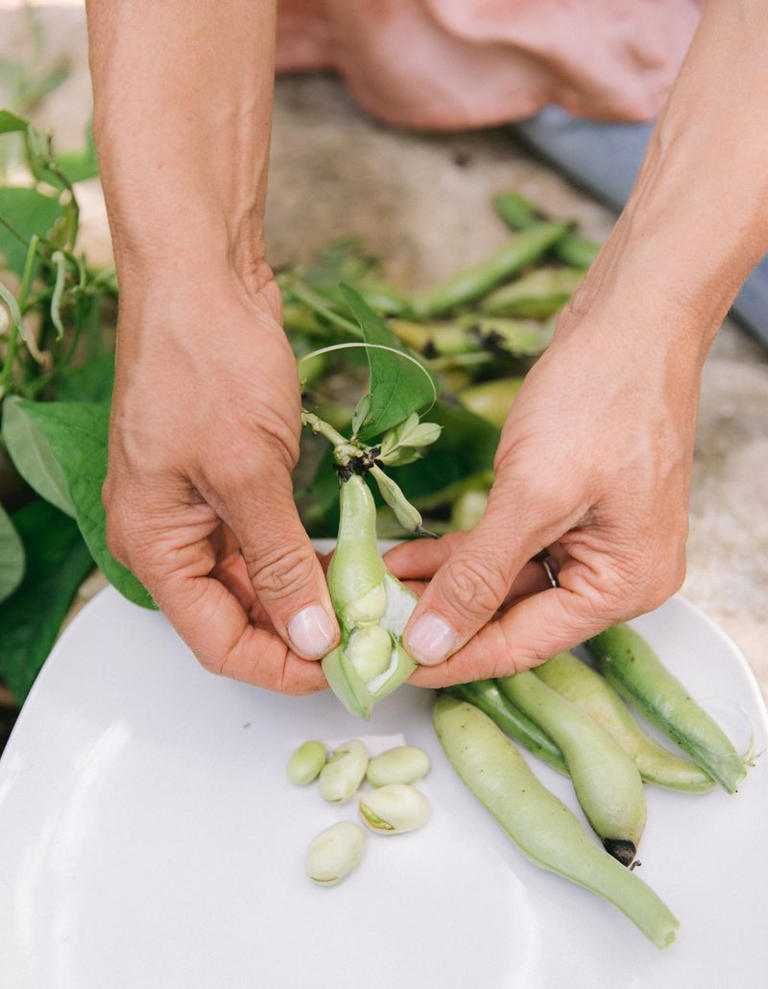 17 Things To Know About Shell Beans And The Best Way To Store Them Properly