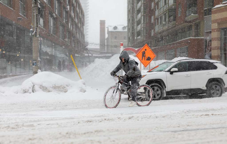 ‘Emergencies don’t wait’: Toronto Hydro urges preparedness for winter ...