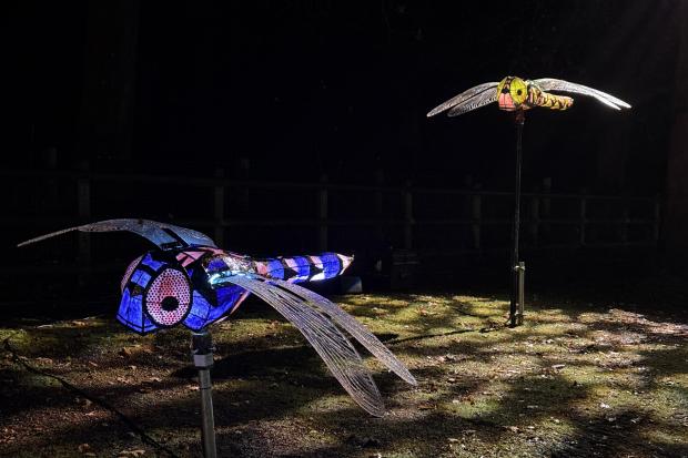 Enchanting illuminations shine bright at Marwell Zoo