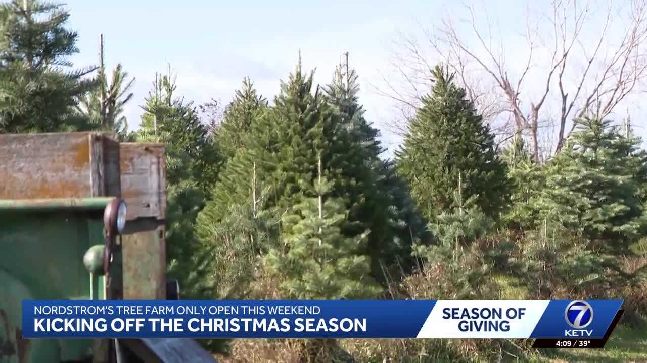 Nordstrom's Tree Farm kicking off holiday season