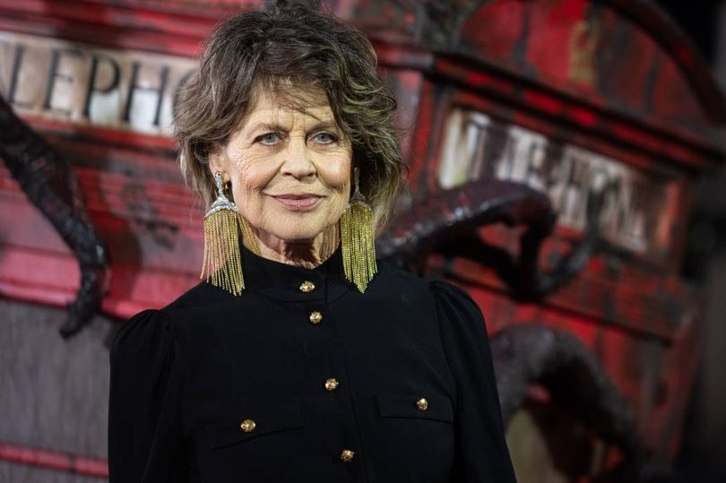 Who is Dr Kay in Stranger Things? Linda Hamilton's 'unhinged' role ...