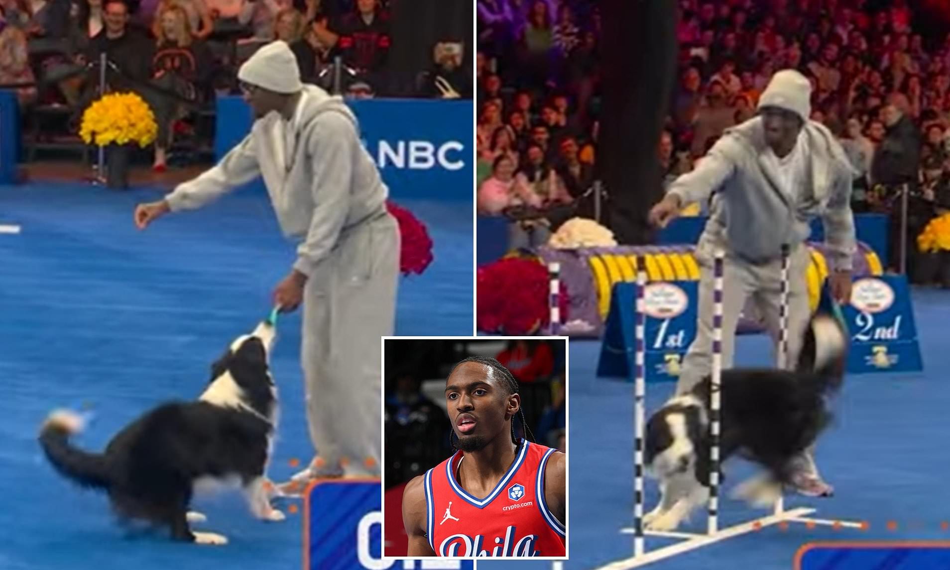 NBA star embarrassed as his disobedient pup humiliates him in front of ...