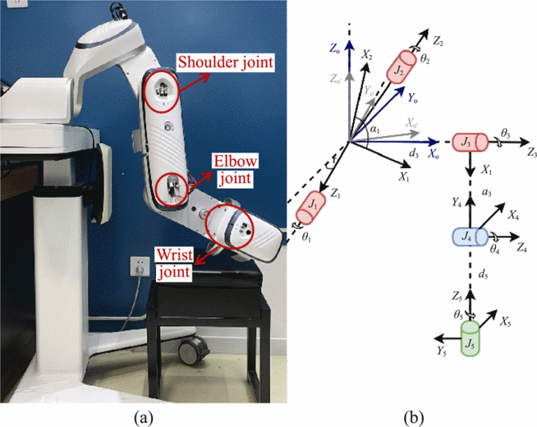 New upper-limb exoskeleton adapts to stroke patients in real time