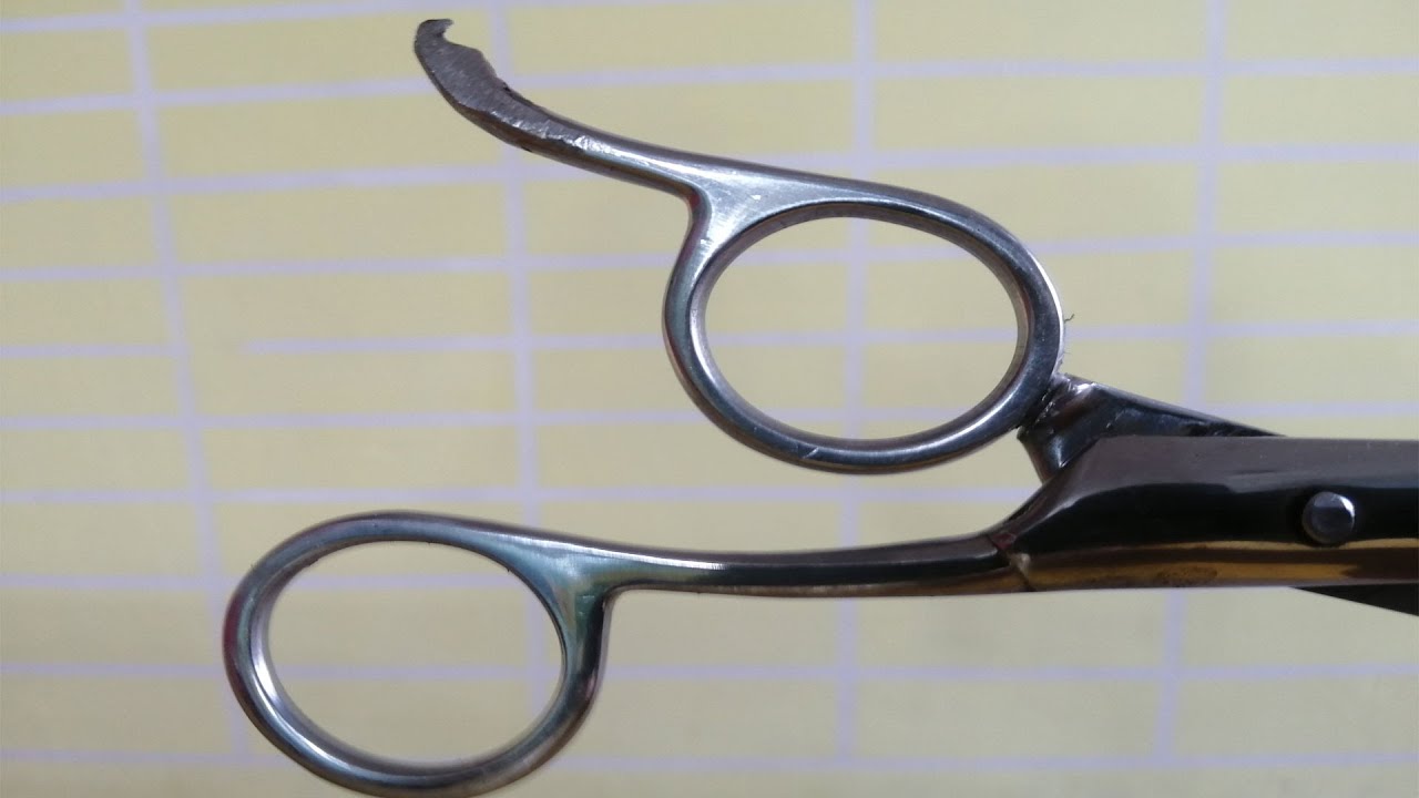 Insane tips and tricks that are really useful and amazing tools