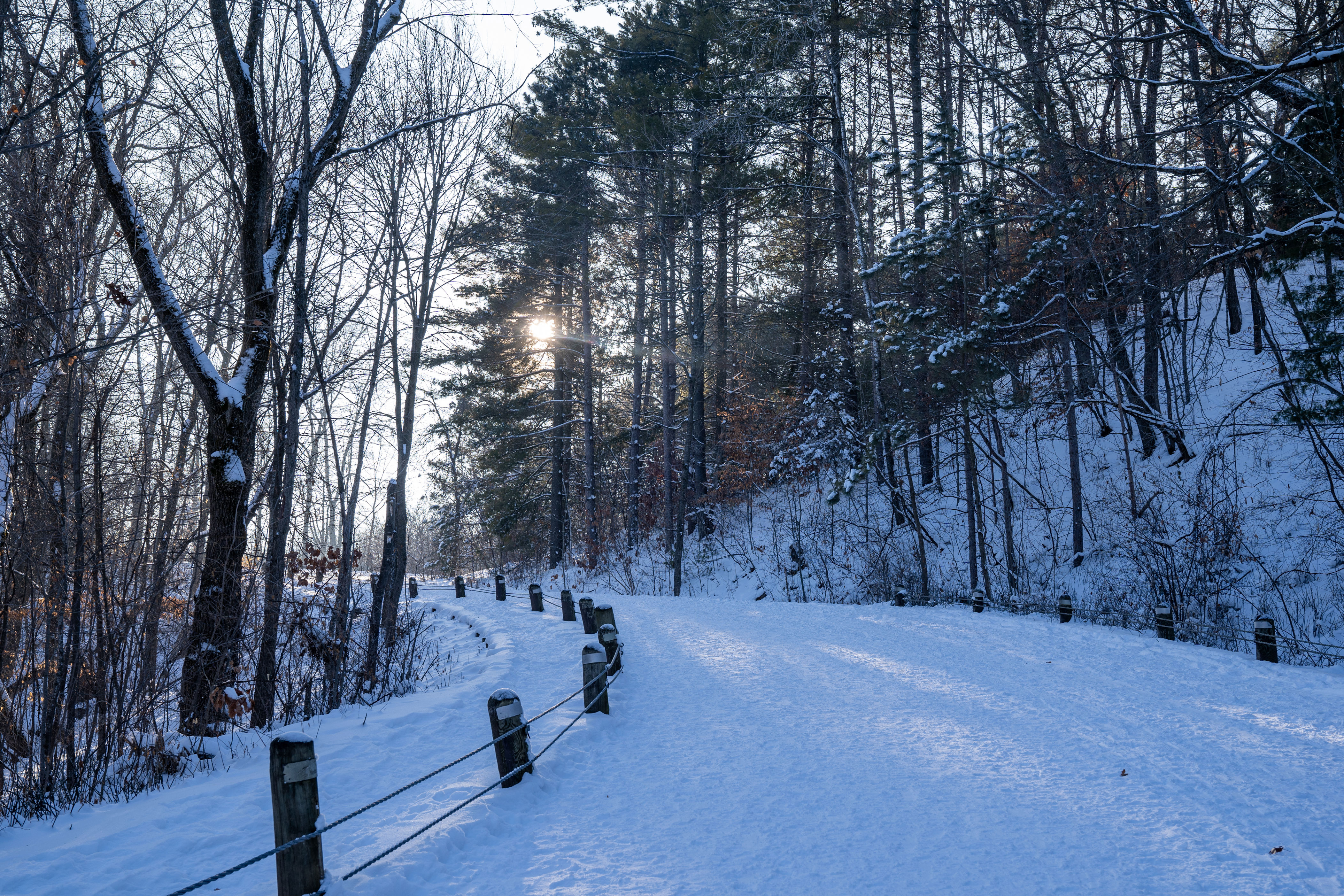 Turkey hangover? MN DNR recommends a state park visit