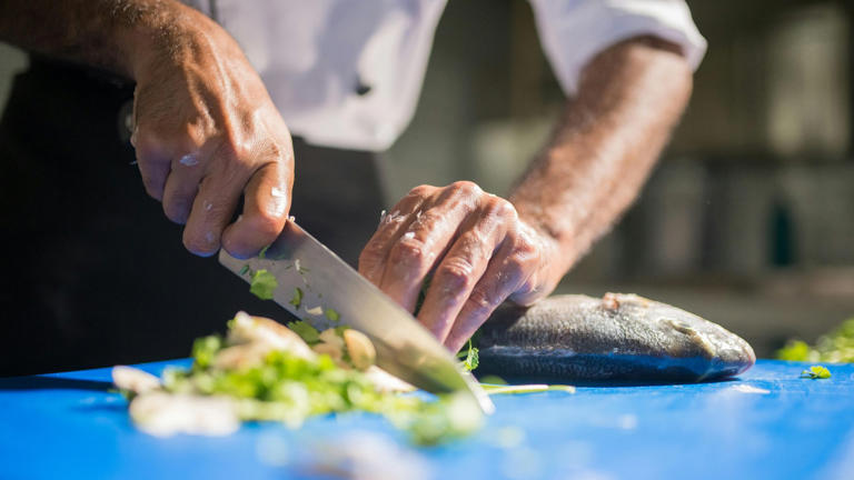 Your Kitchen Knives Are Dull—Here's How to Sharpen Them Properly