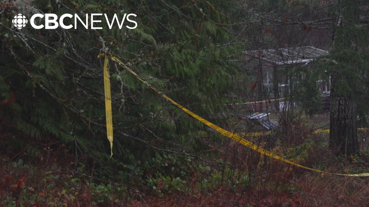 Pilot dies in small plane crash near Nanaimo on Vancouver Island