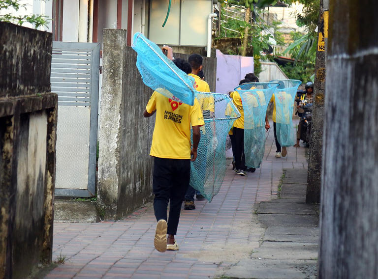 Vets, vax & woofs: Kochi's stray dogs get anti-rabies shots