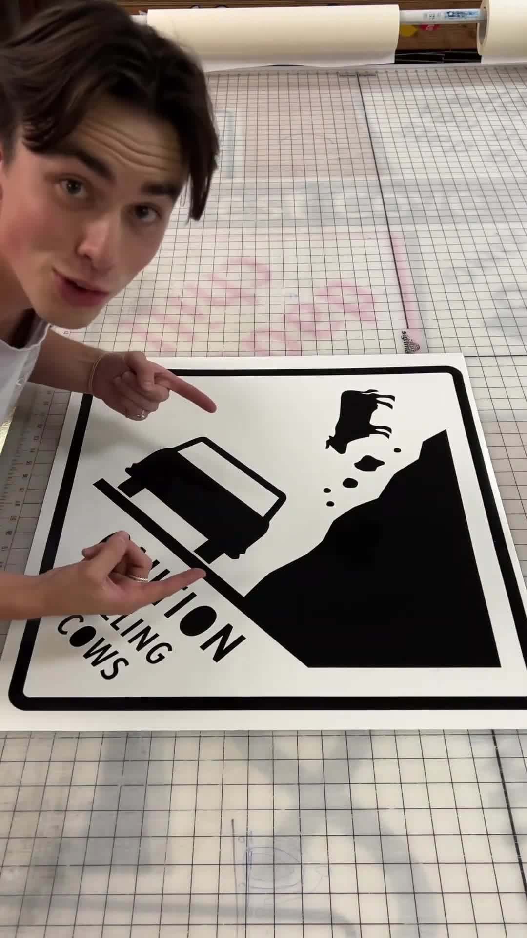 World's weirdest traffic sign