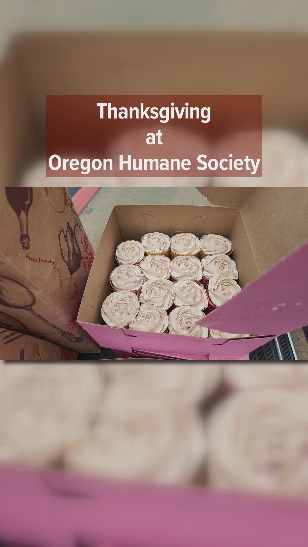 A special Thanksgiving at Oregon Humane Society