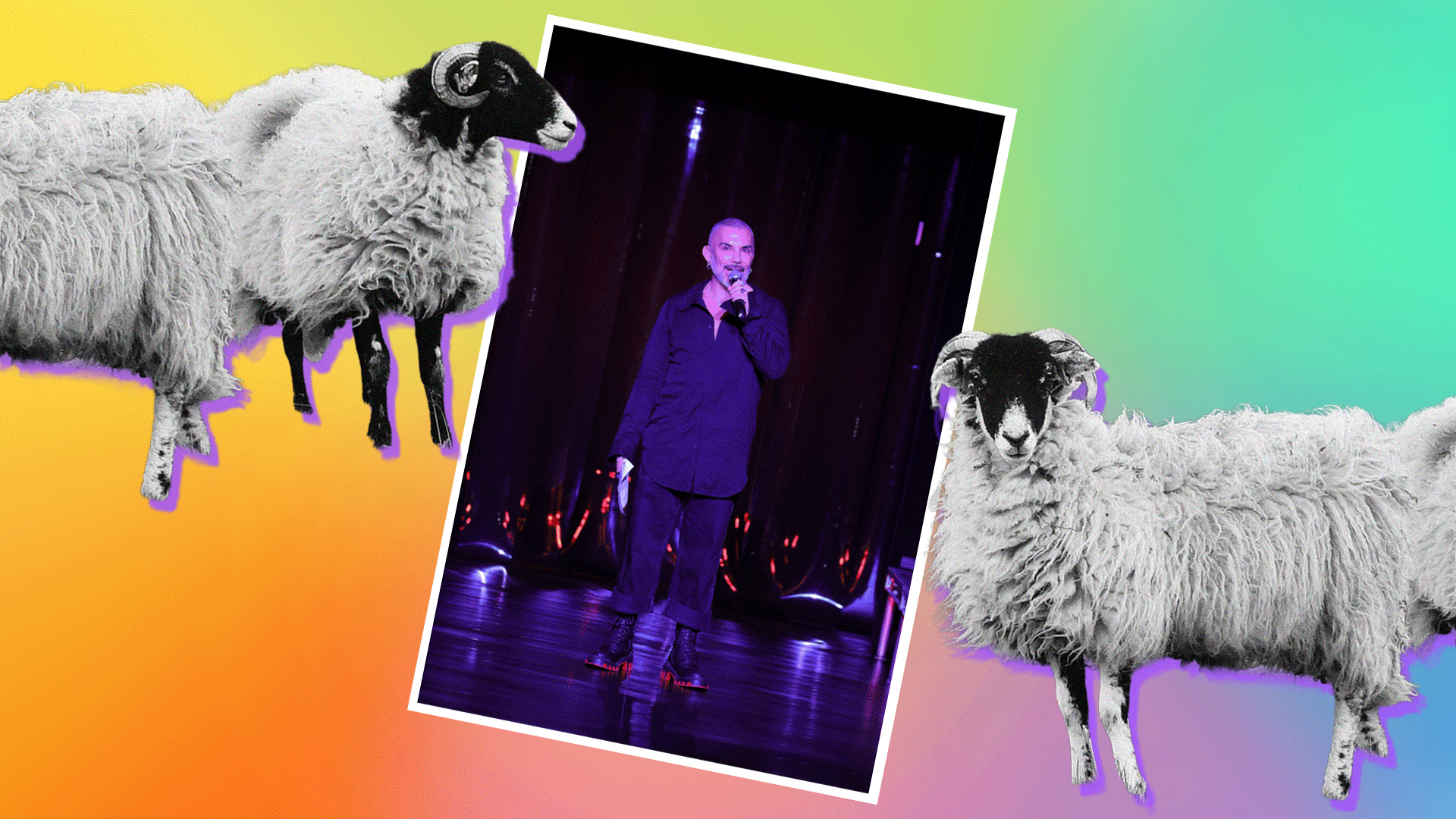 The Special Test That Helps One Company Identify Gay Sheep