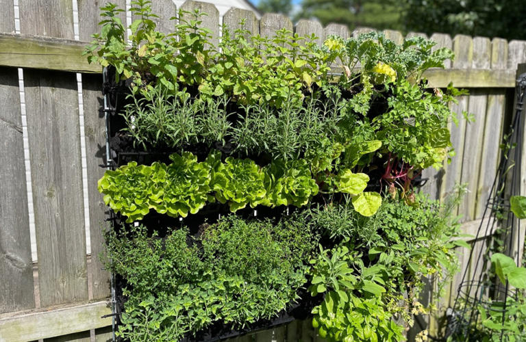 Huerto en Casa 2.0: Guía completa para cultivar con poco espacio